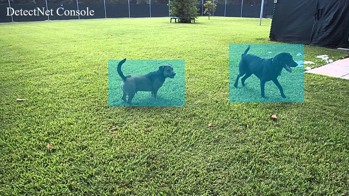 How-To: Set up NVIDIA Jetson Nano for Object Recognition — ameriDroid